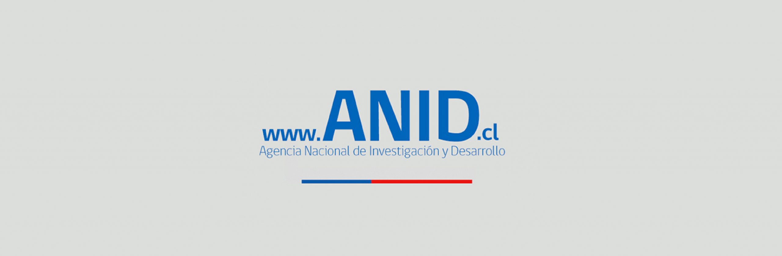 ANID publica calendario de Concursos 2021 - VRIIC